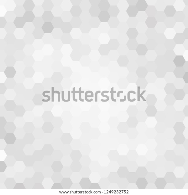 Abstract Gray Hexagon Background Layout Presentation Stock Vector (Royalty Free) 1249232752 ...