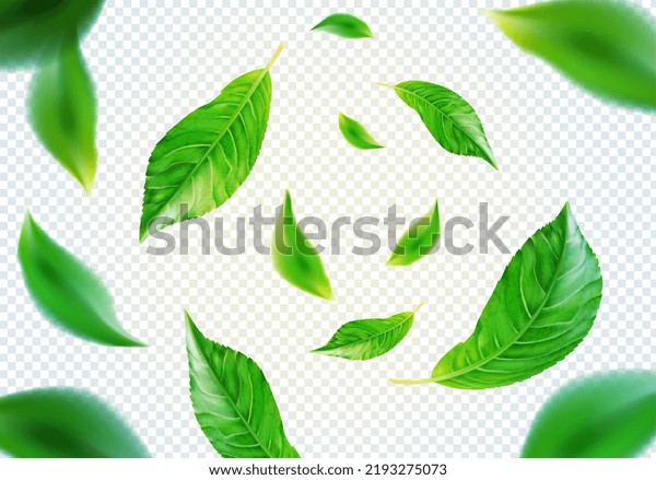 Abstract Green Leaves Background Tea Leaves Stock Vector (Royalty Free ...