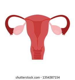 Abstract Human Fallopian Tube Stock Vector (Royalty Free) 1354387106 ...