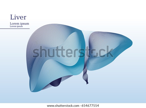 Abstract Illustration Liver Stock Vector (Royalty Free) 654677554