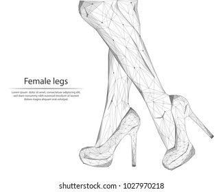 843 Shoes vector polygon Images, Stock Photos & Vectors | Shutterstock