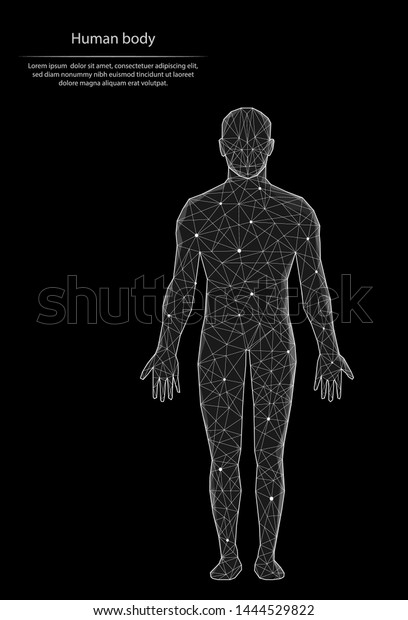 Abstract Image Human Body Form Lines Stock Vector (Royalty Free) 1444529822
