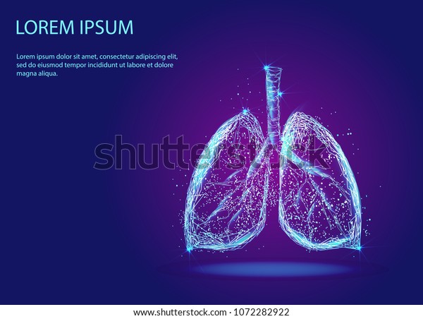 Abstract Image Human Lungs Form Starry Stock Vector (Royalty Free ...