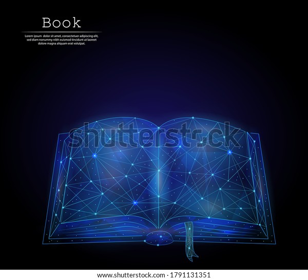 Abstract Image Open Book Form Starry Stock Vector (Royalty Free ...