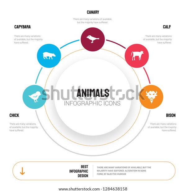 Abstract Infographics Animals Template Chick Capybara Stock Vector ...