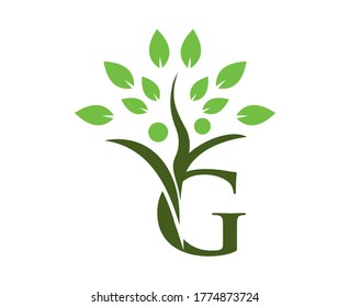 Abstract Letter G Tree Leave On Stock Vector (Royalty Free) 1774873724 ...