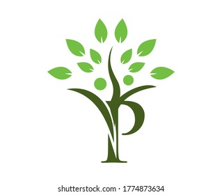 1,651 Letter P Tree Logo Images, Stock Photos & Vectors | Shutterstock