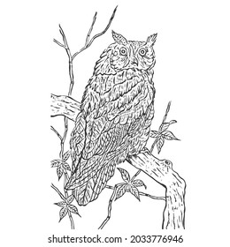 Abstract Owl Line Art Hand Drawn Stock Vector (Royalty Free) 2033776946 ...