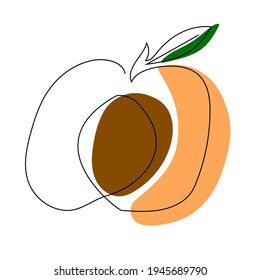 Abstract Peach Vector Line Art Illustration Stock Vector (Royalty Free ...