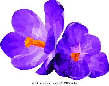 63,055 Polygon flowers Images, Stock Photos & Vectors | Shutterstock