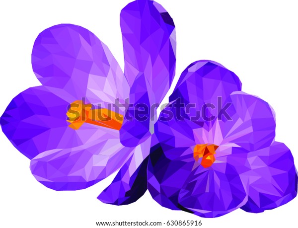 Abstract Polygonal Flowers Geometric Vector Illustration Stock Vector ...