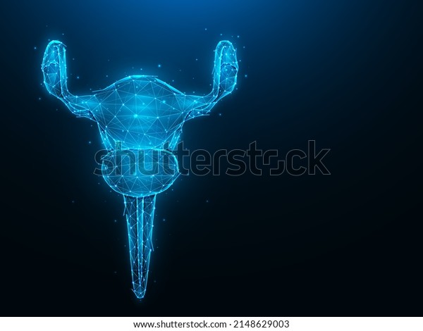 Abstract Polygonal Uterus Vector Illustration On Stock Vector (Royalty ...