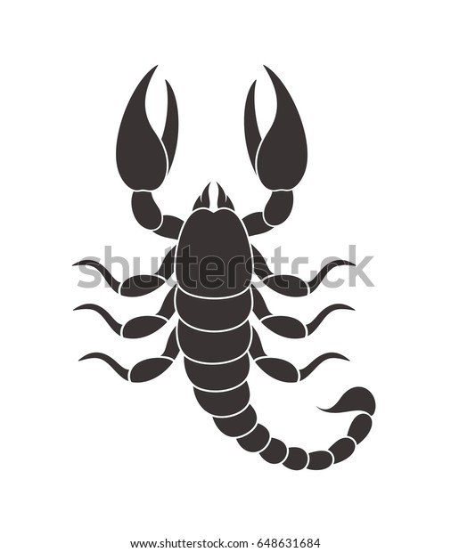 Abstract Scorpion Isolated Scorpion On White Stock Vector (Royalty Free ...