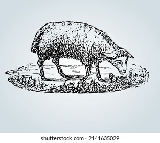 Abstract Sheep Shading Techniques Illustration Stock Vector (Royalty ...