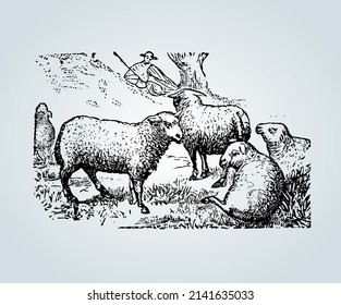 Abstract Sheep Shading Techniques Illustration Stock Vector (Royalty ...