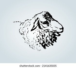 Abstract Sheep Shading Techniques Illustration Stock Vector (Royalty ...