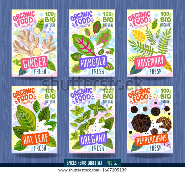 Abstract Splash Food Label Template Vegetables Stock Vector (Royalty ...