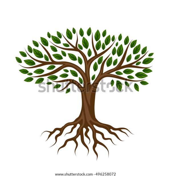 Abstract Stylized Tree Roots Leaves Natural Stock Vector (Royalty Free ...