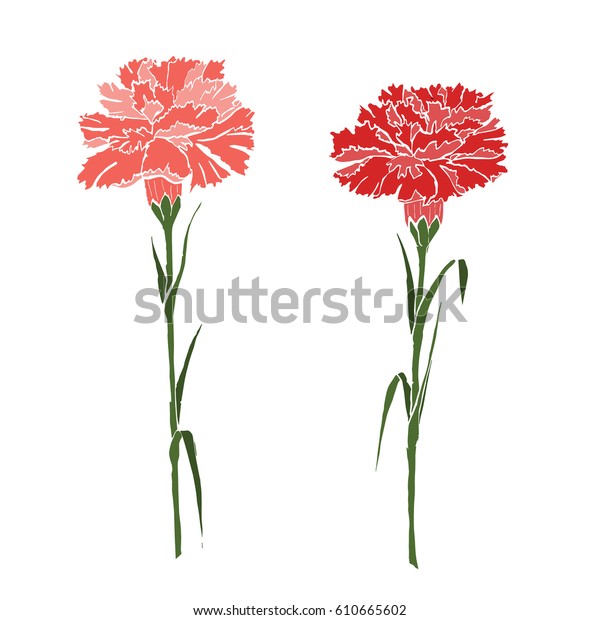 Abstract Two Carnations Red Pink Vector 库存矢量图（免版税）610665602 | Shutterstock