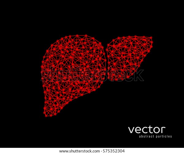 Abstract Vector Illustration Human Liver Stock Vector (Royalty Free ...