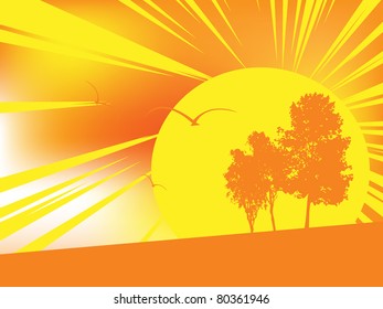 Abstract Vector Illustration Sun Birds Stock Vector (Royalty Free ...