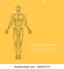 Carcass Black Lines Human Internal Organs: vector de stock (libre de ...