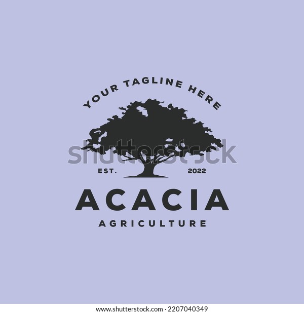 Acacia Tree Logo Vintage Vector Symbol Stock Vector (Royalty Free ...