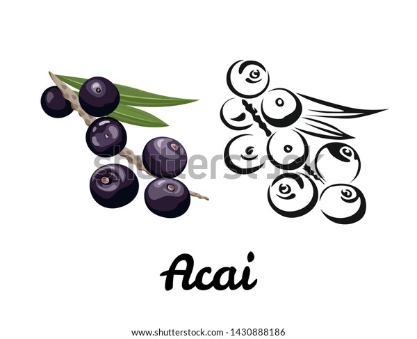 Acai Icon Set Isolated On White Stock Vector (Royalty Free) 1430888186
