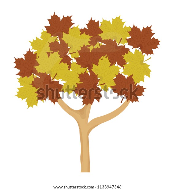 Acer Genus Trees Shrubs That Named Stock Vector (Royalty Free ...
