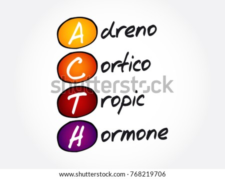 ACTH Adrenocorticotropic Hormone Acronym Concept Background Vector de ...