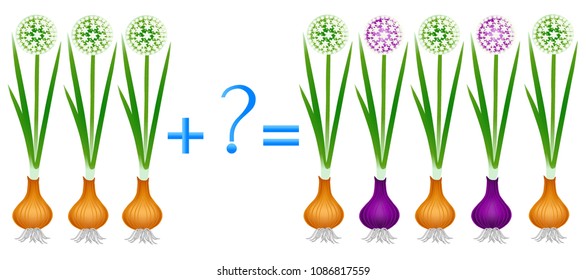 Action Relationship Addition Examples Plant Onion Stock Vector (Royalty ...