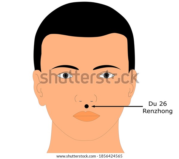 Acupuncture Point Du Mai 26 Du 库存矢量图（免版税）1856424565