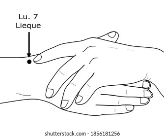 Acupuncture Point Lung 7 Lu 7 Stock Vector (Royalty Free) 1856181256 ...