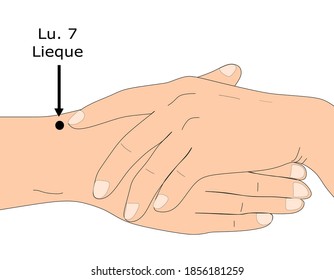 Acupuncture Point Lung 7 Lu 7 Stock Vector (Royalty Free) 1856181259 ...