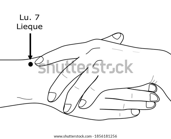 Acupuncture Point Lung 7 Lu 7: เวกเตอร์สต็อก (ปลอดค่าลิขสิทธิ์ ...