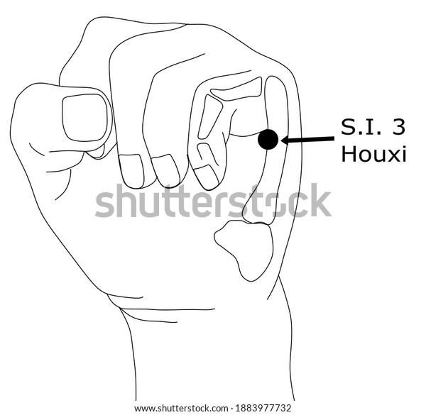 Acupuncture Point Small Intestine 3 Si Stock Vector (Royalty Free ...