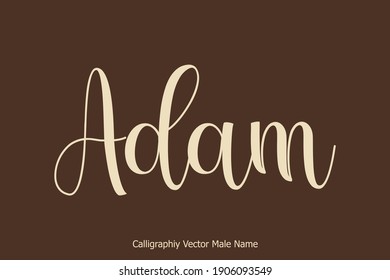 Adammale Name Cursive Typography Text: เวกเตอร์สต็อก (ปลอดค่าลิขสิทธิ์ ...