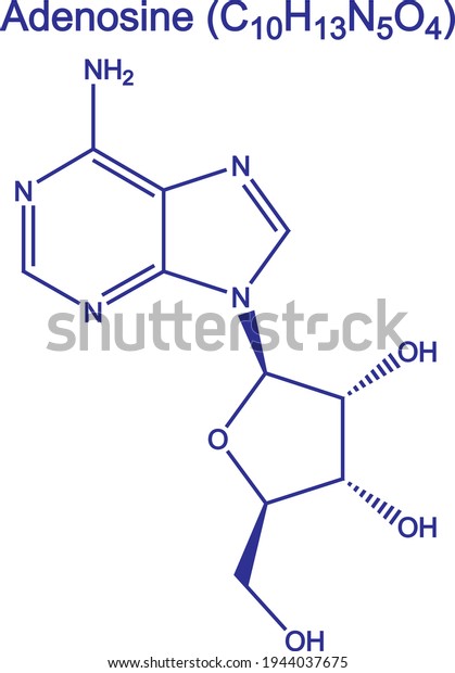 Adenosine Molecule Nucleoside Structural Chemical Formula Stock Vector ...