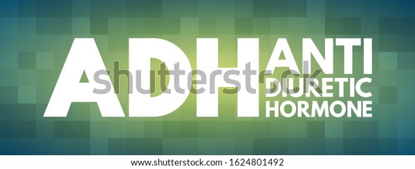 Adh Antidiuretic Hormone Acronym Concept Background Stock Vector ...