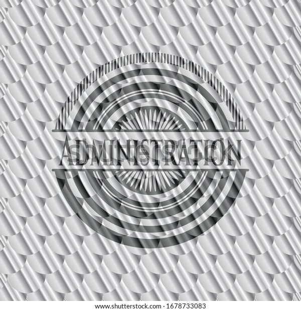Administration Shiny Silver Badge Scales Pattern Stock Vector (Royalty ...