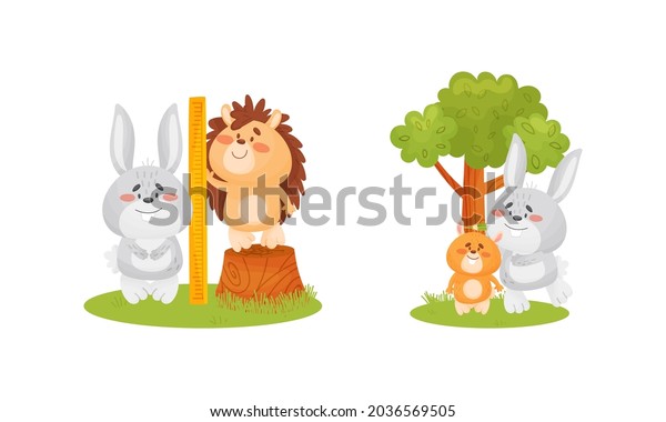 Adorable Animals Measuring Height Set Cute Stock Vector (Royalty Free ...