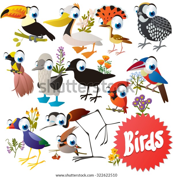 Adorable cartoon comic birds set: toucan, pelican, cock, quoll, boobie ...