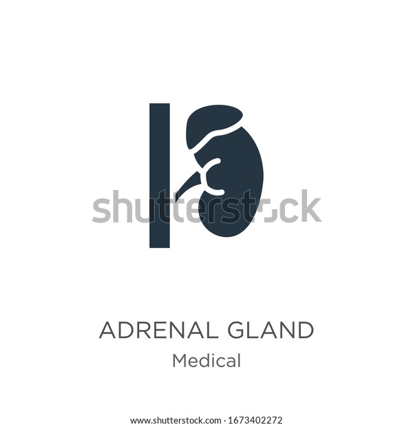 Adrenal Gland Icon Vector Trendy Flat Stock Vector (Royalty Free ...