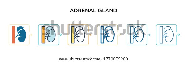 Adrenal Gland Vector Icon 6 Different Stock Vector (Royalty Free ...