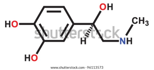 Adrenaline Epinephrine Structural Formula Stock Vector (Royalty Free ...