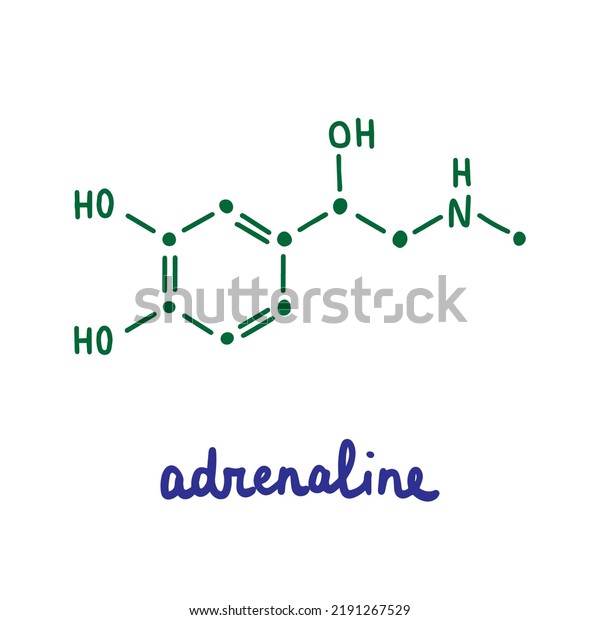 Adrenaline Hand Drawn Vector Formula Chemical Stock Vector (Royalty ...