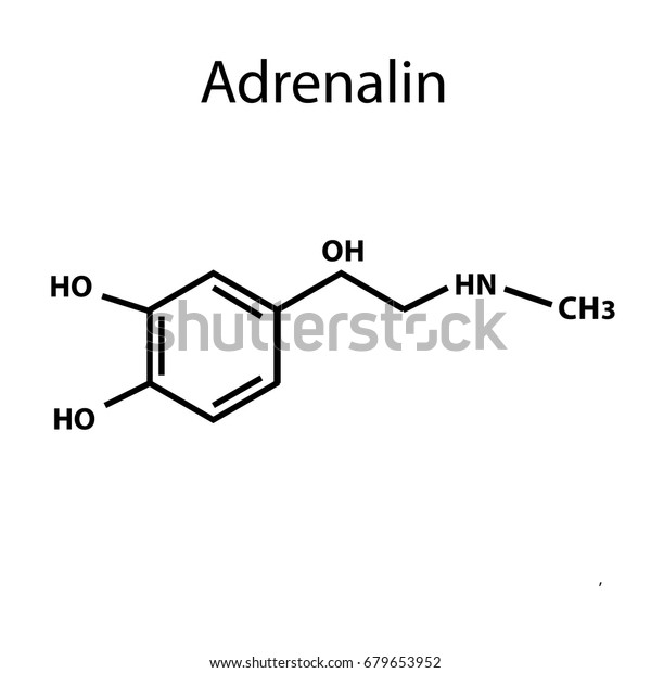 Adrenaline Hormone Chemical Formula Vector Illustration Stock Vector ...
