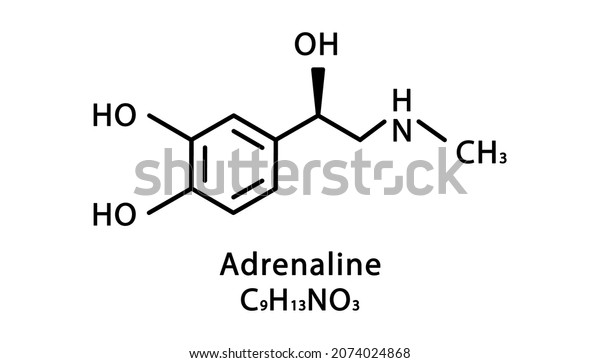 Adrenaline Molecular Structure Epinephrine Skeletal Chemical Stock ...