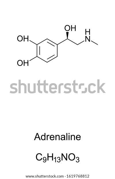 Adrenaline Molecule Epinephrine Skeletal Formula Structure Stock Vector ...