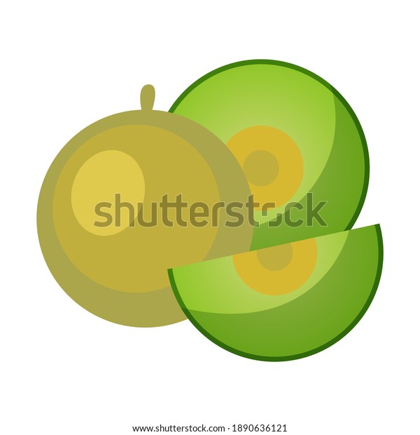 Aesthetic Cool Melon Vector Illustration Aesthetic Stock Vector ...